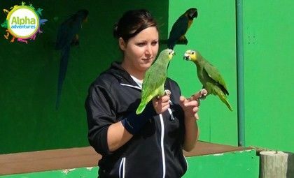 Parrot Interaction Pack by Adventures - Malta's widest range of ...
