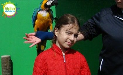 Parrot Interaction Pack by Adventures - Malta's widest range of ...